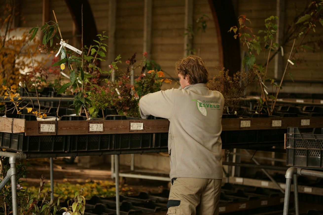 Plantentuin Esveld - esveld.nl