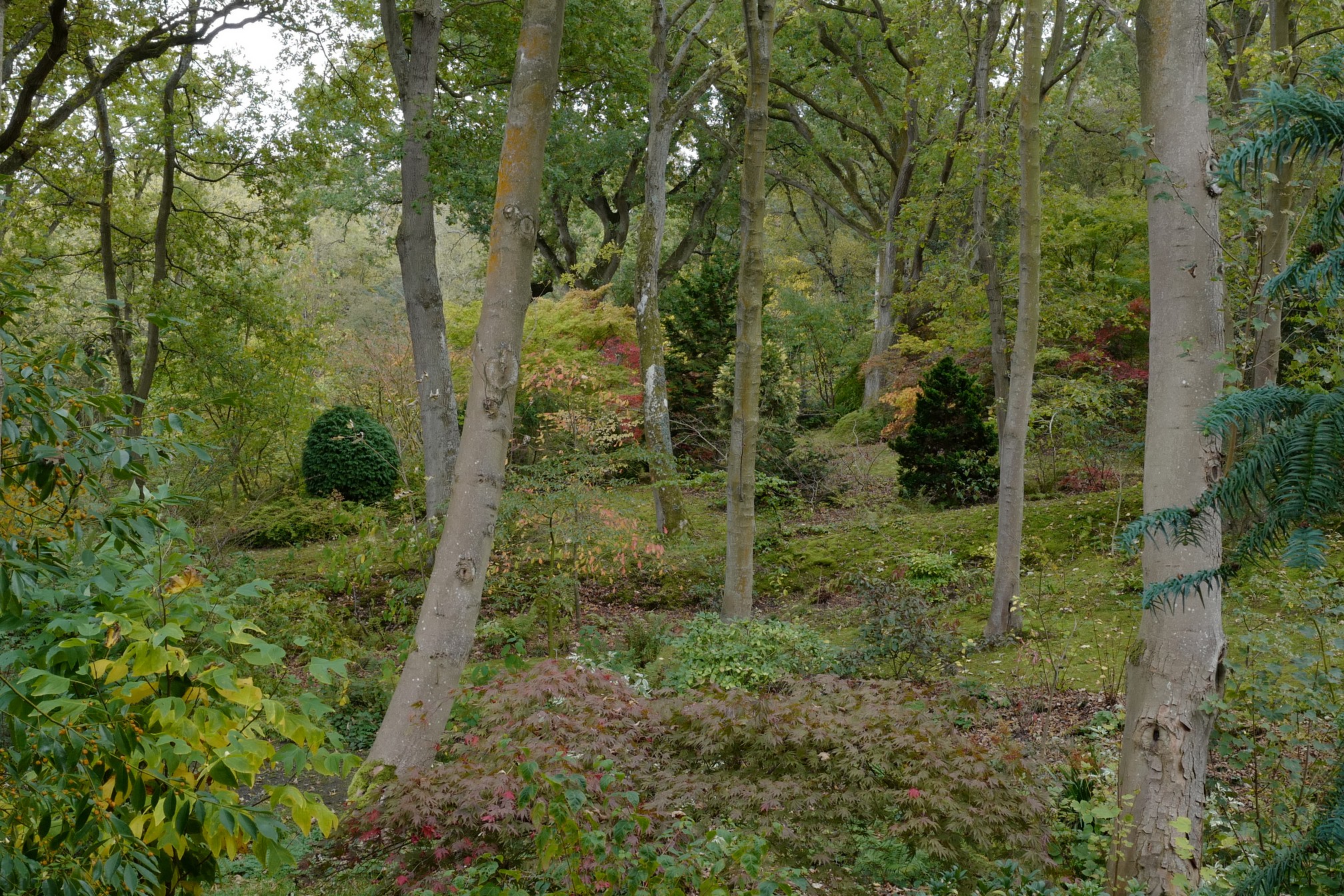 Plantentuin Esveld - esveld.nl