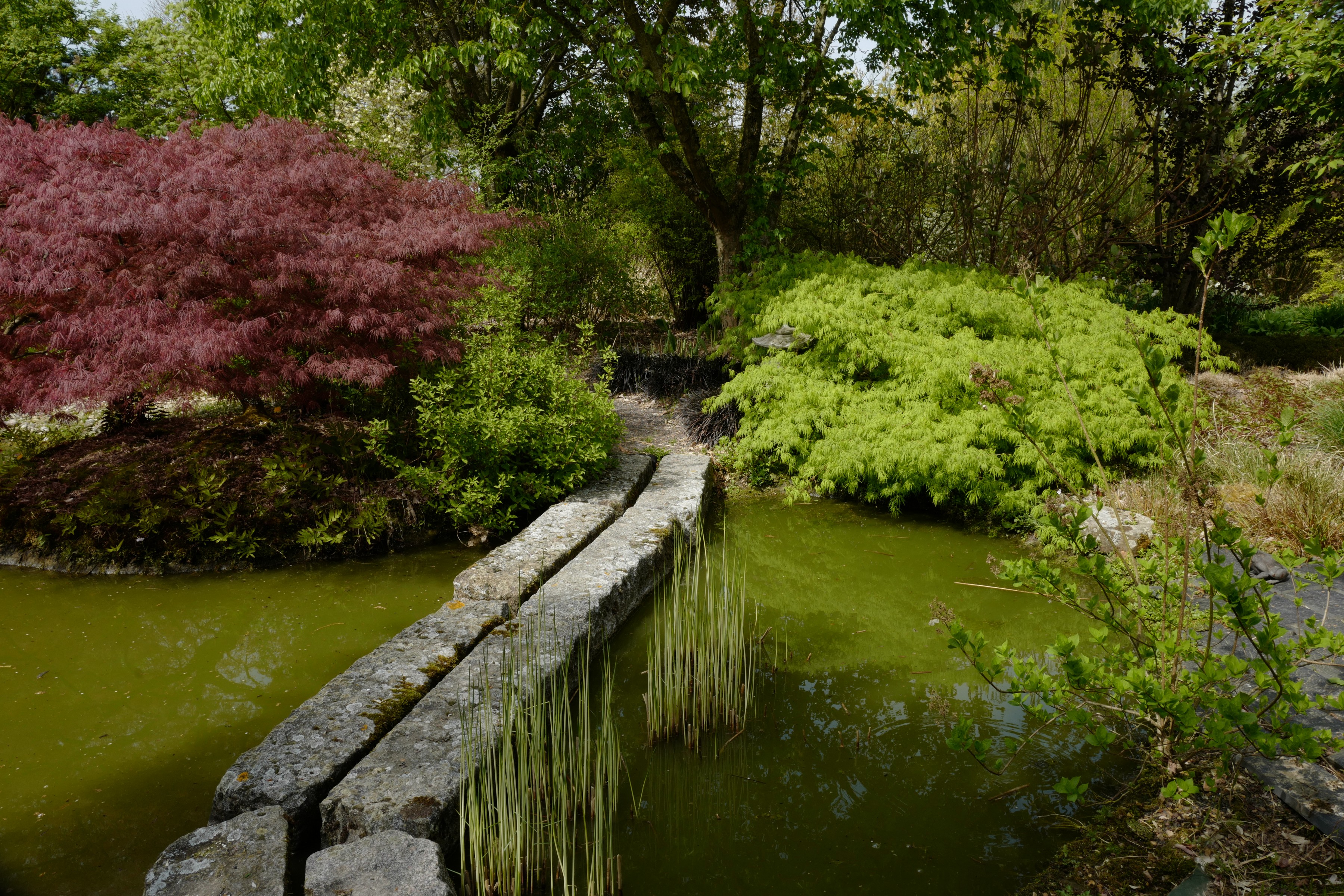 Plantentuin Esveld - esveld.nl