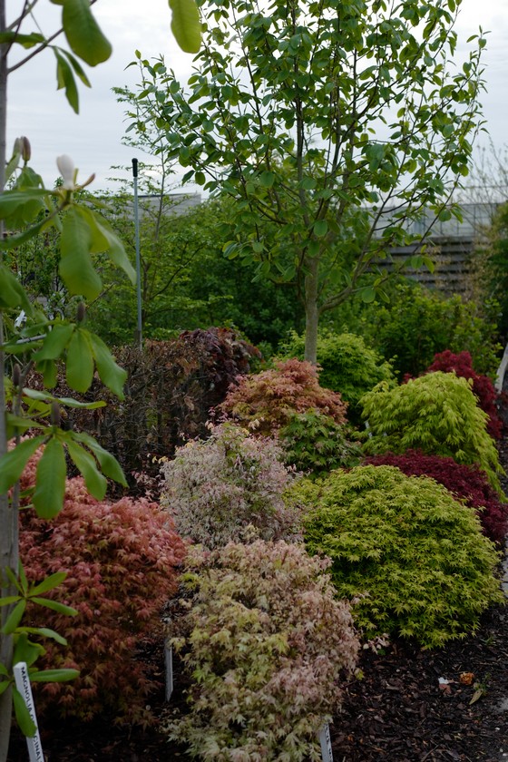 Plantentuin Esveld - esveld.nl