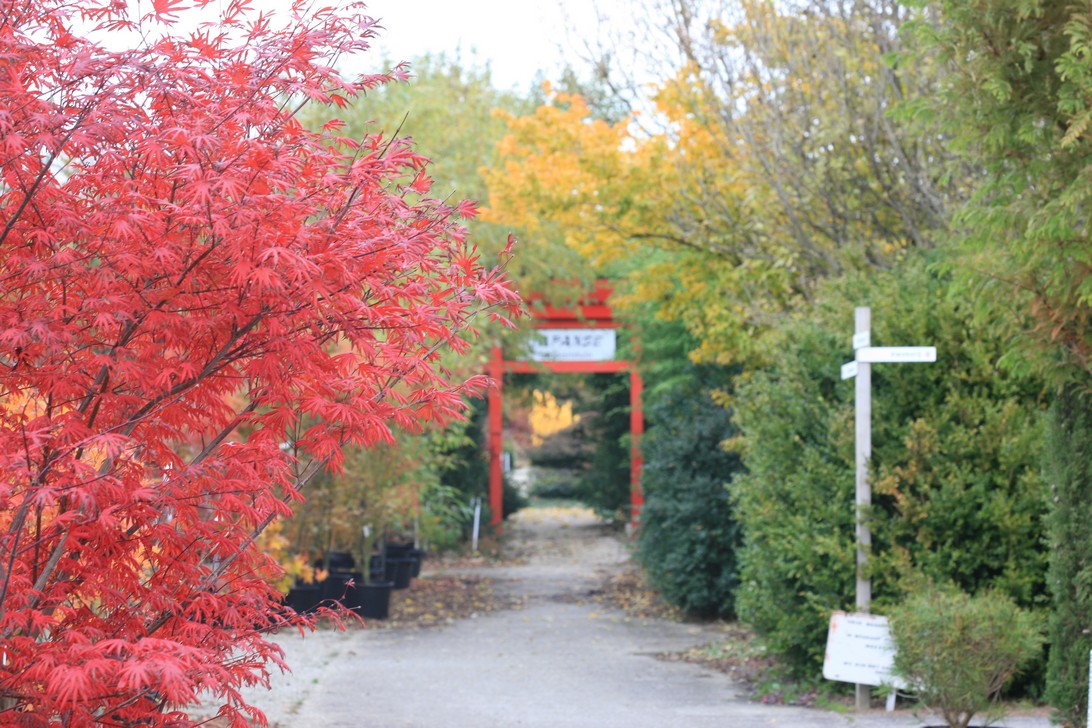 lezingen – Plantentuin Esveld